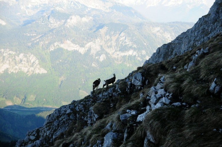 Großer Pyhrgas: Berg in Österreich